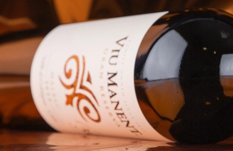 Viu Manent - Viu 1 2020: El Auge de un Tinto Chileno