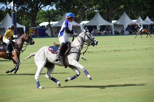 Un recorrido por el Club de Polo y Equitación San Cristóbal