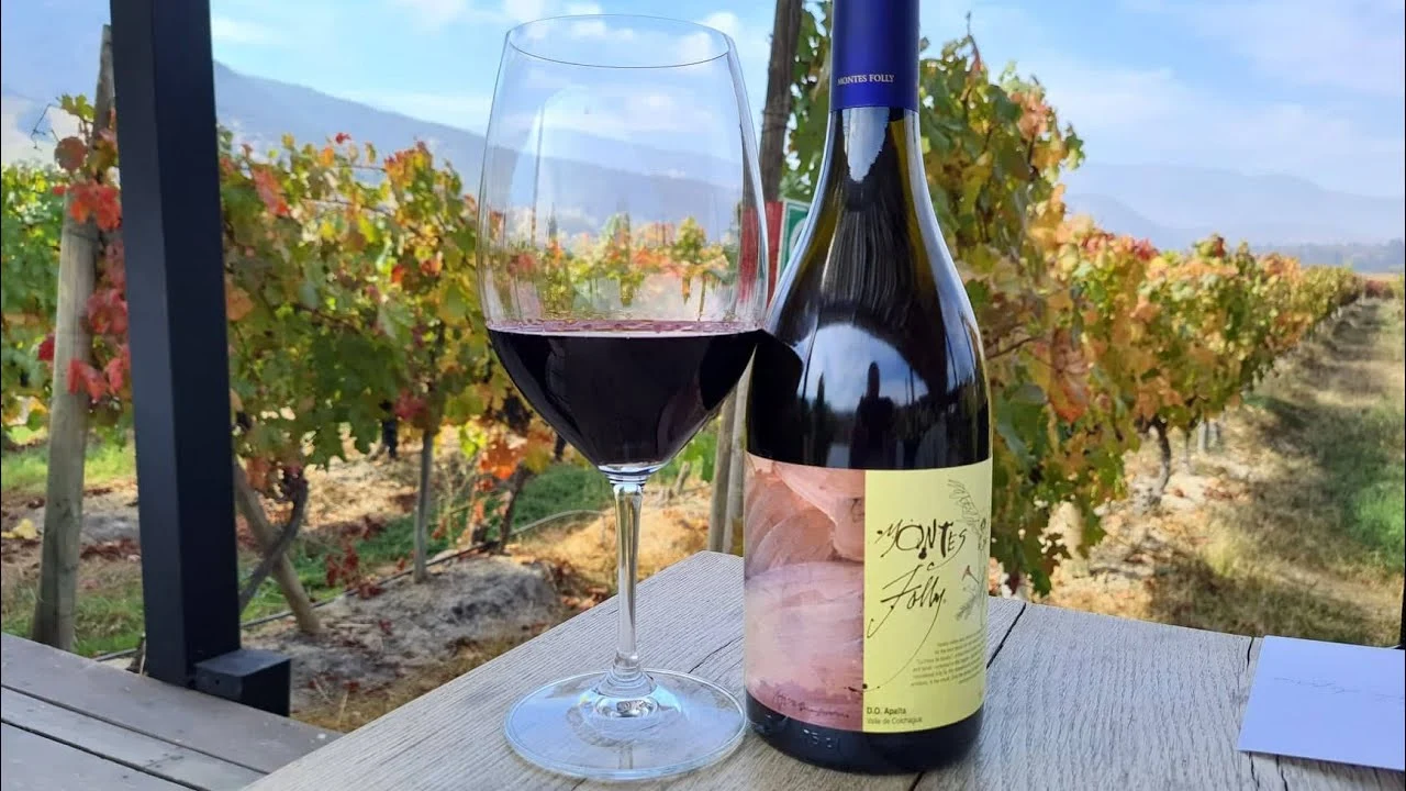 El Enigma de Syrah Montes Folly: Un Relato de Carácter y Altitud