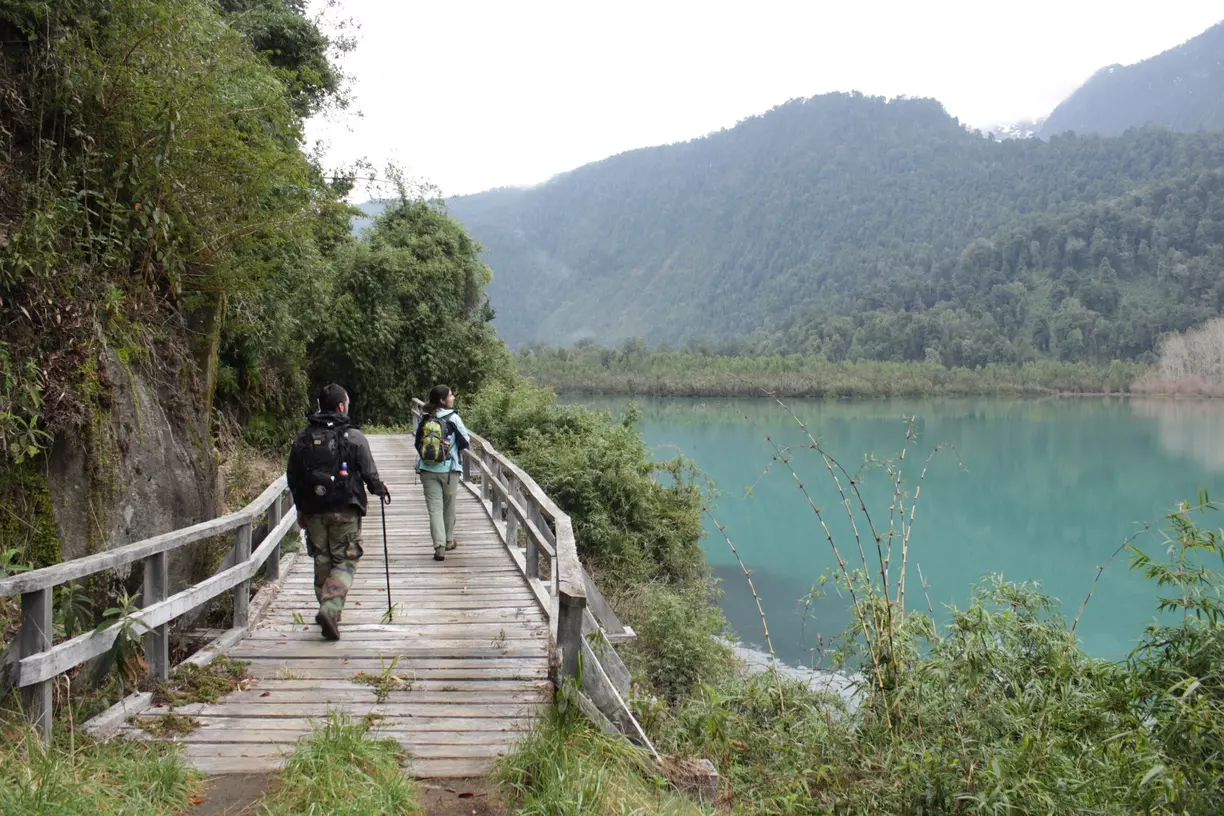 Trekking en Lago Ranco: Explorando el Volcán Mirador y Los Ojos del Huishue