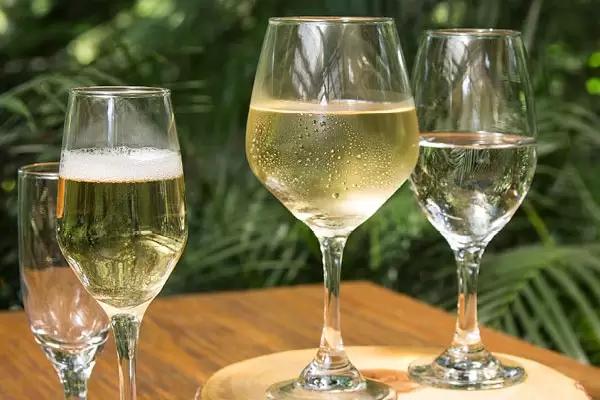 ¿En qué copa tomar vino blanco? Descubre la elección ideal