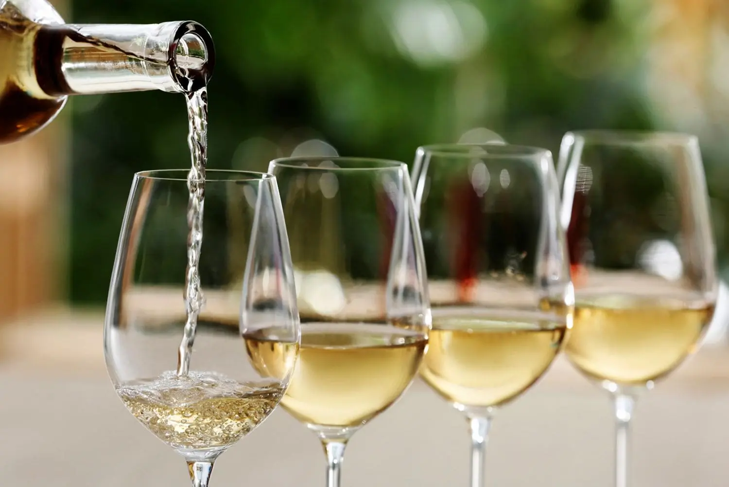Pinot Grigio: 5 Datos Curiosos de Esta Versátil Cepa